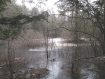 Vernal Pools - Cooperative Extension: 4-H - University of Maine ...