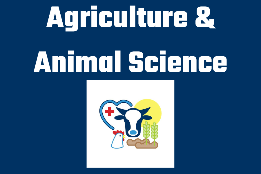 New Virtual Learning Hub - Cooperative Extension: 4-H - University of ...