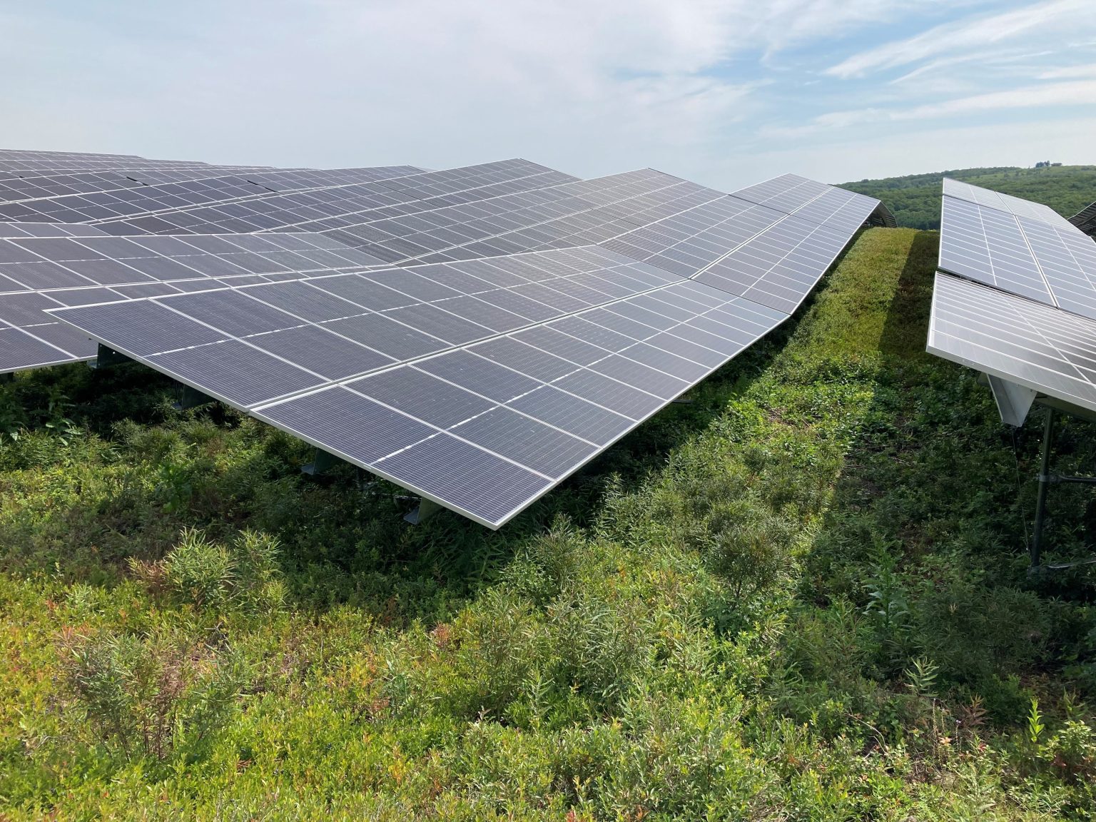 Considerations for Solar on Wild Blueberry Land in Maine - Cooperative ...