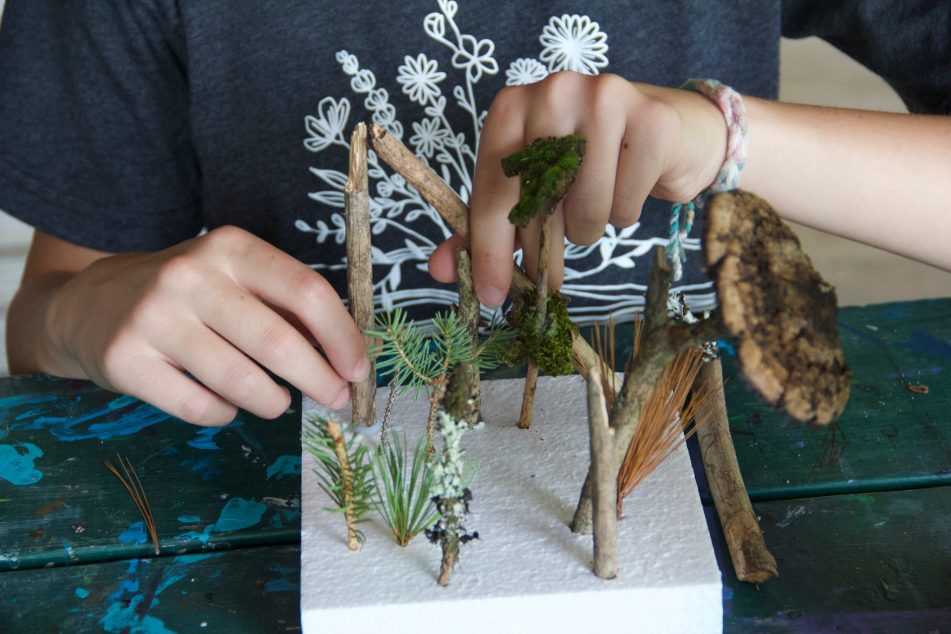 Nature Arts Exploration (ages 10-15) - University of Maine 4-H Camp ...