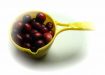 What's in a Cranberry? - Cooperative Extension: Cranberries - University of Maine Cooperative ...