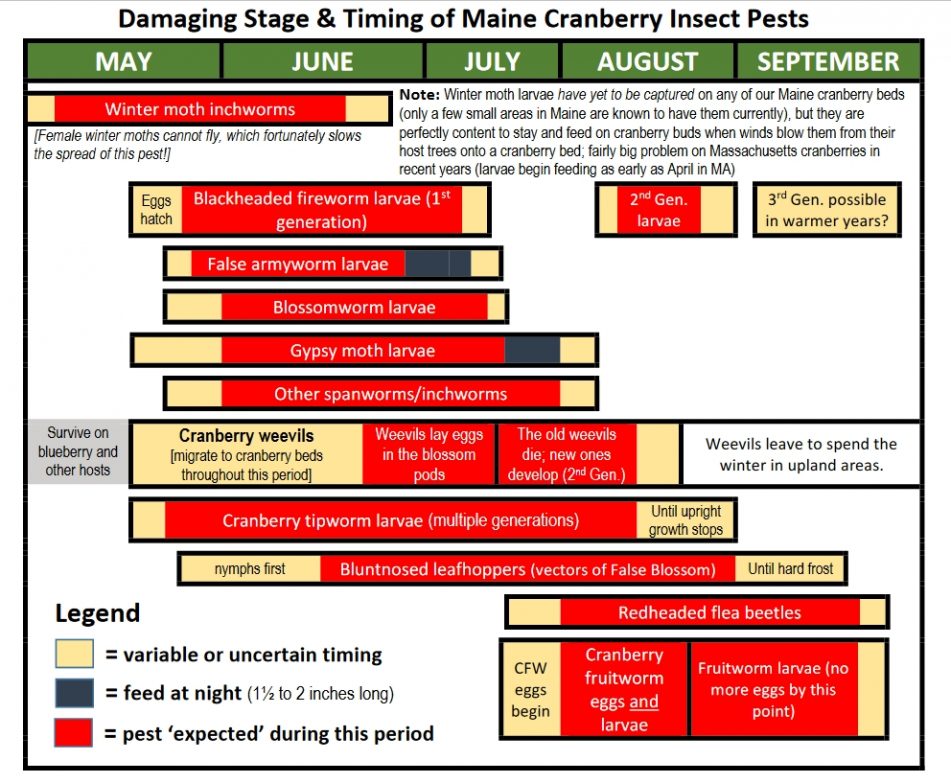 Damaging Stage and Timing of Maine Cranberry Insect Pests (Calendar ...