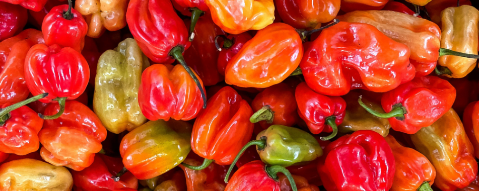 Growing Peppers, Mild to Hot! - Cooperative Extension: Food & Health ...