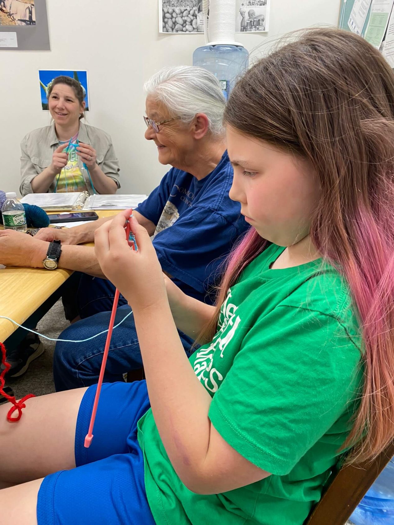 Franklin County 4-H News June - Cooperative Extension in Franklin ...