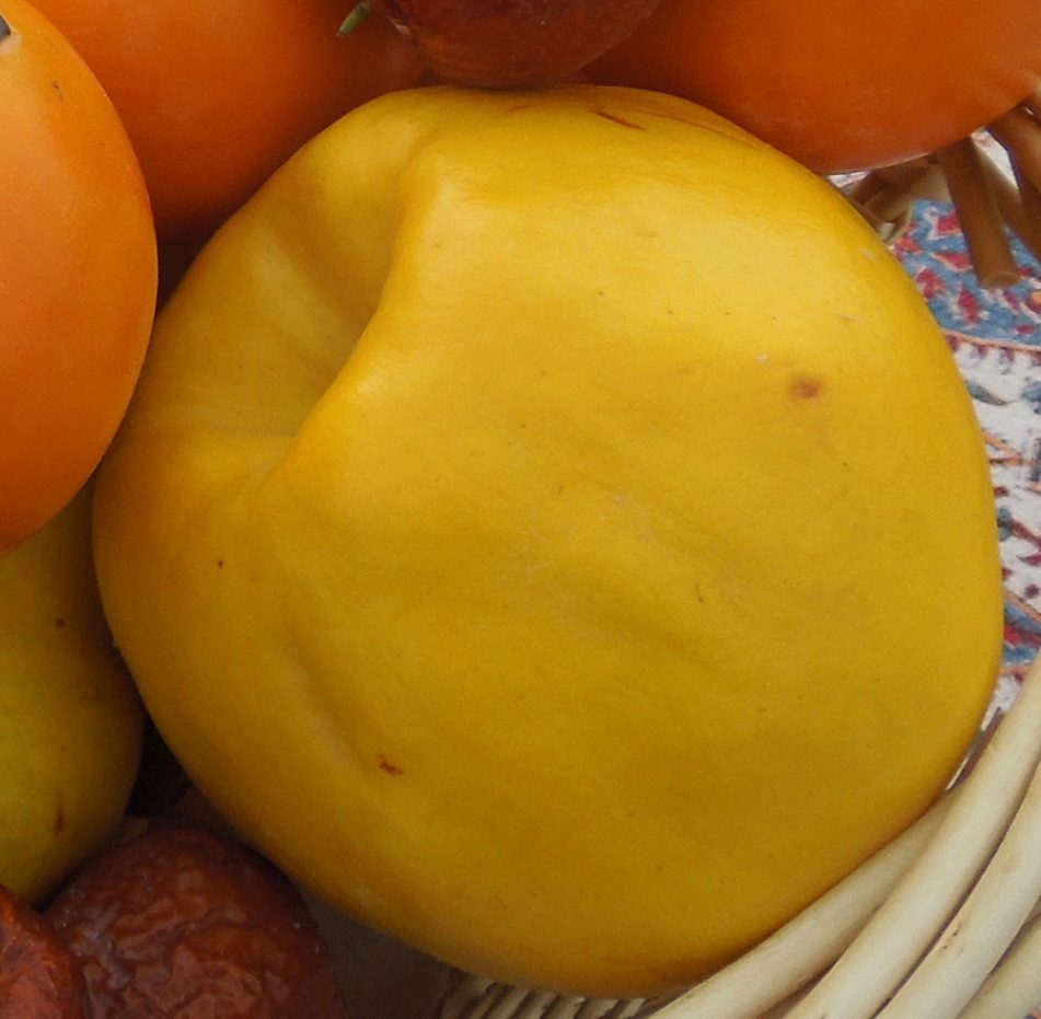 Types of Fruit Trees - Cooperative Extension: Tree Fruits - University ...