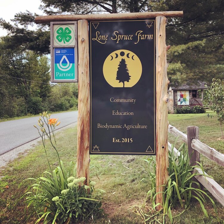 4-H Open Farm Day at Lone Spruce Farm - Cooperative Extension in ...