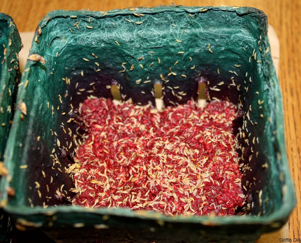 Spotted Wing Drosophila Alert and Berry Notes - August 29, 2024 ...