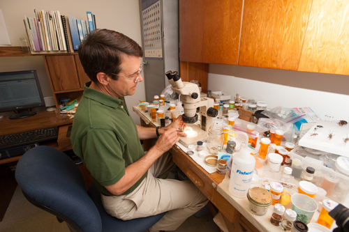 Insect Lab - Cooperative Extension: Insect Pests, Ticks and Plant ...