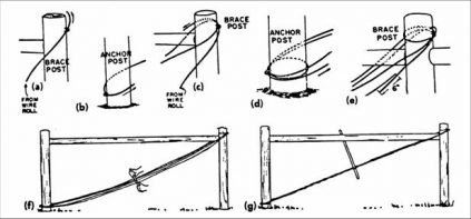 Lesson 3. Fencing Systems - Appendix E - Cooperative Extension ...
