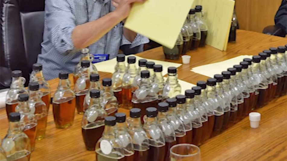 Maple Quality Control - Cooperative Extension: Maple Syrup Production