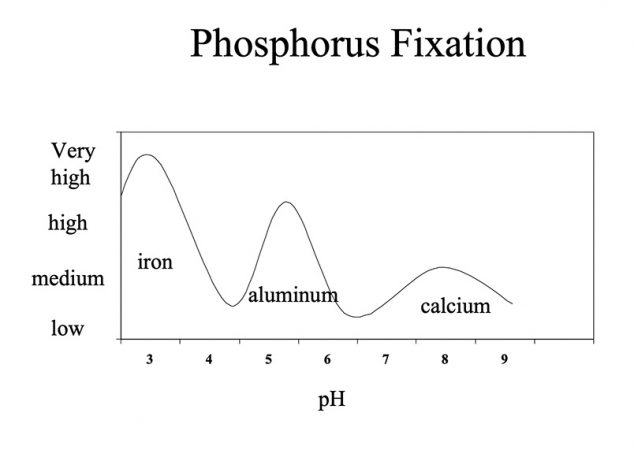 Bulletin #2250, Phosphorus: An Essential Element for Potatoes ...