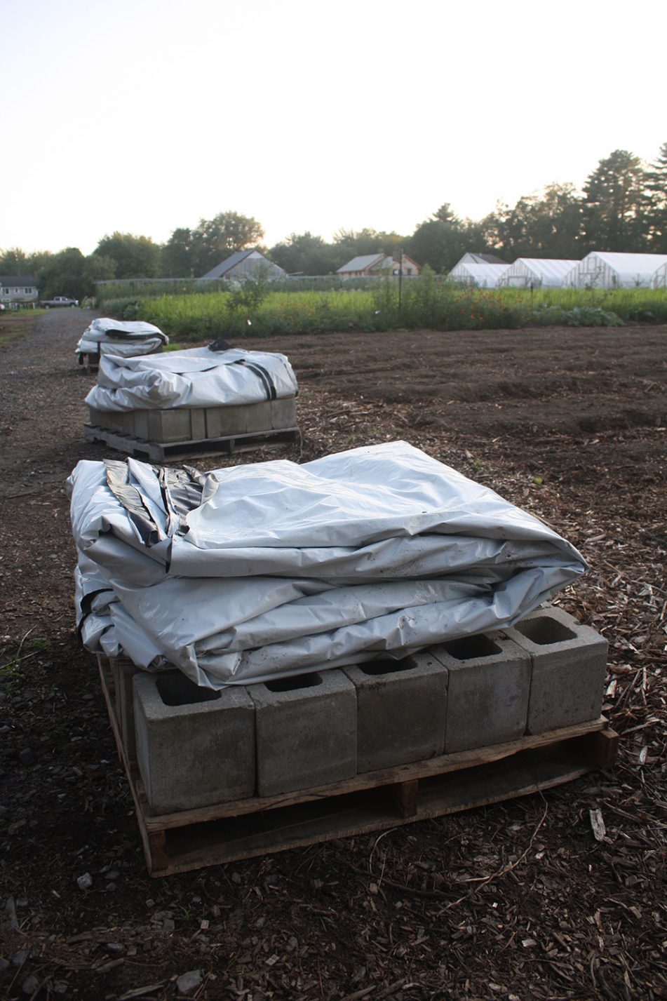 Bulletin #1075, Tarping in the Northeast: Farmer Case Studies ...