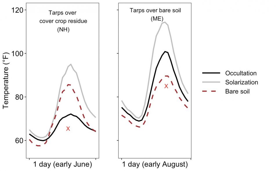 Bulletin #1075, Tarping in the Northeast: Types of Tarps and How They ...