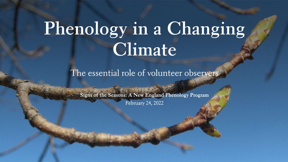 Signs of the Seasons: A New England Phenology Program - University of ...