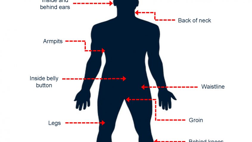 Prevention - Tick Lab - University of Maine Cooperative Extension