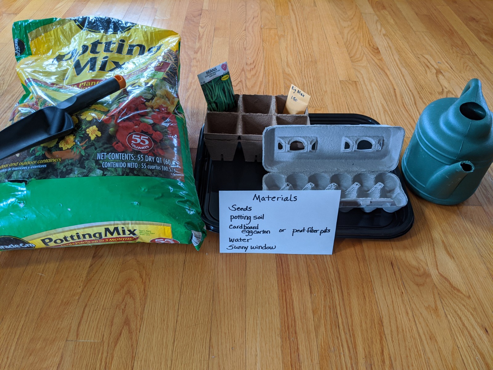 Fun with Seeds - Cooperative Extension in Waldo County - University of ...